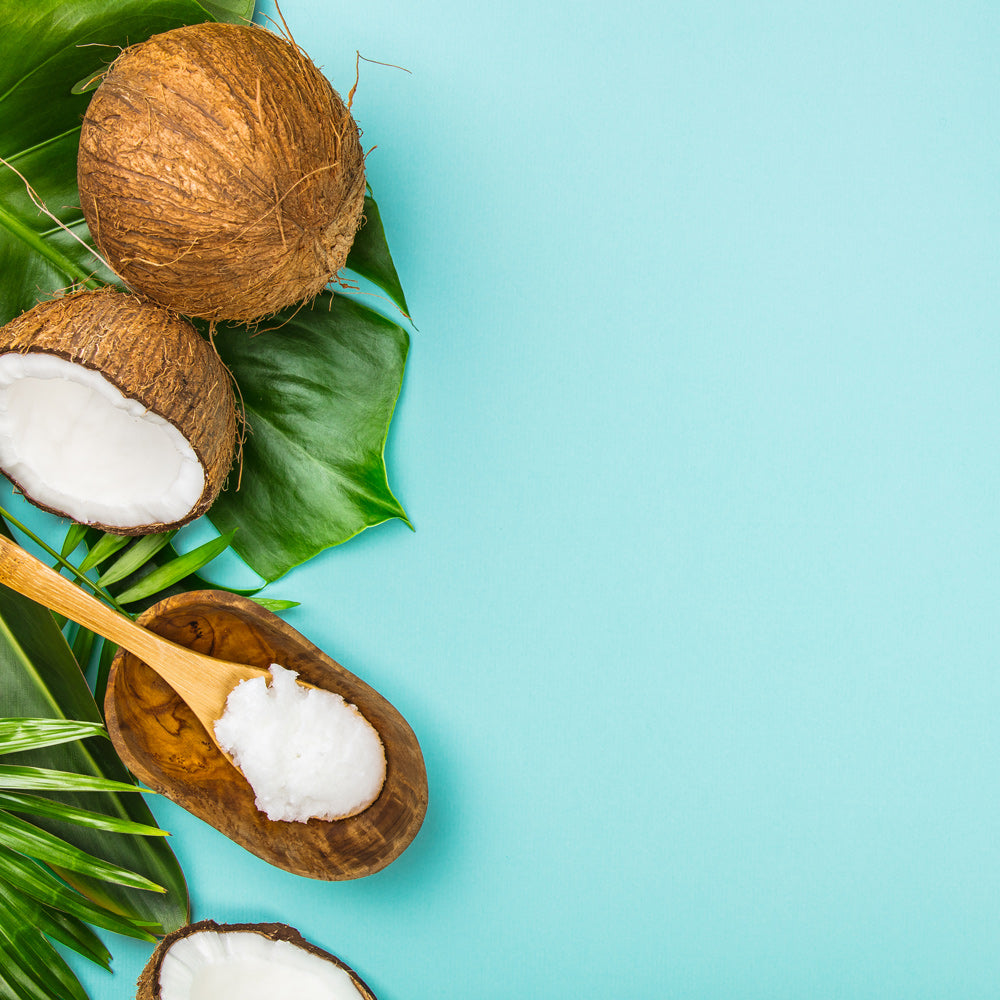 Coconut Based Foods – PureTraditions